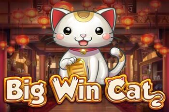 Big Win Cat (Play’n GO) | Slot Review & Bonus, Free Play & Casinos