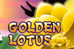 Golden Lotus (Red Tiger Gaming) | Slot Review & Bonus, Free Play & Casinos